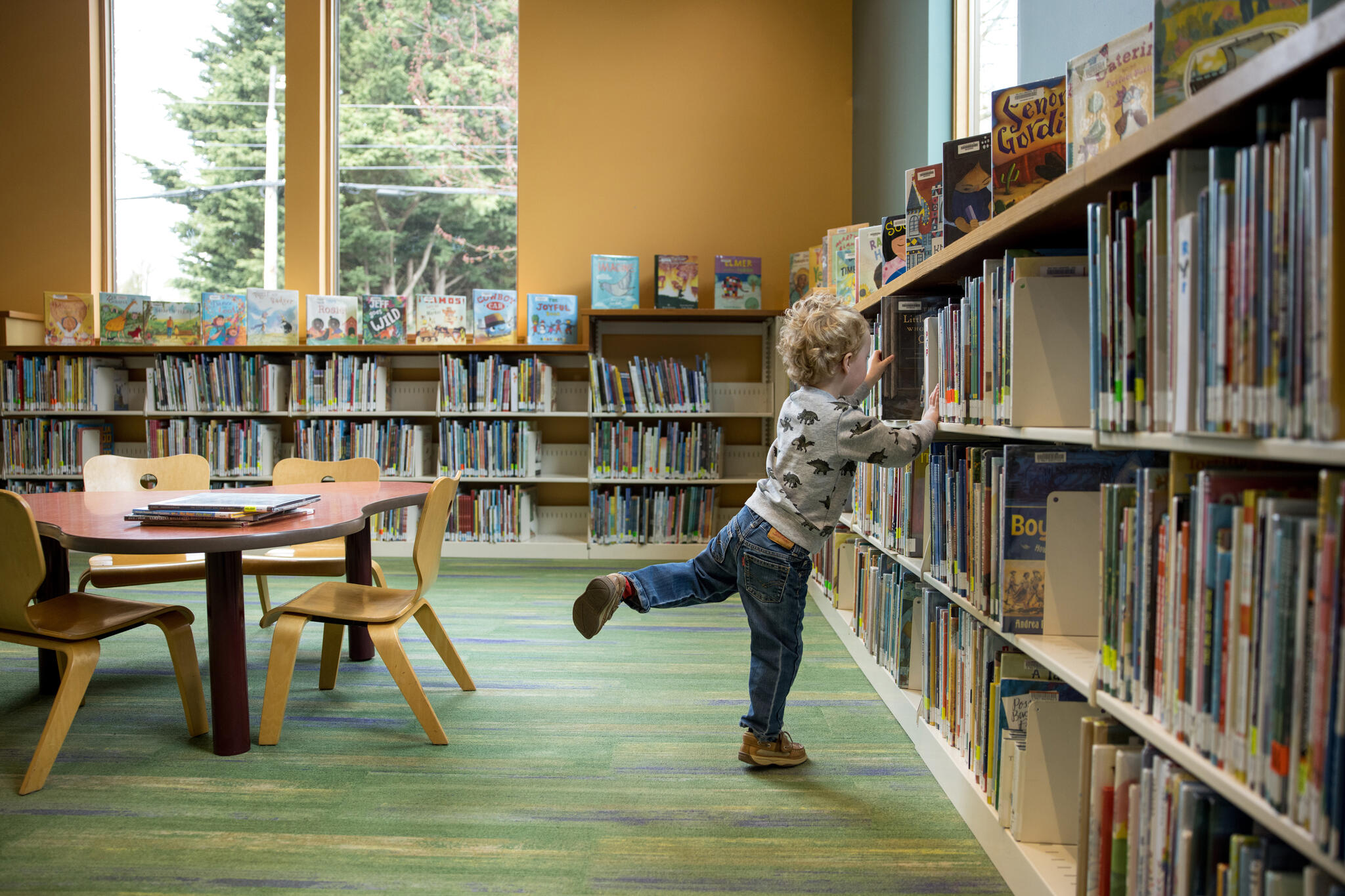 Sno-Isle Libraries - 63 updates