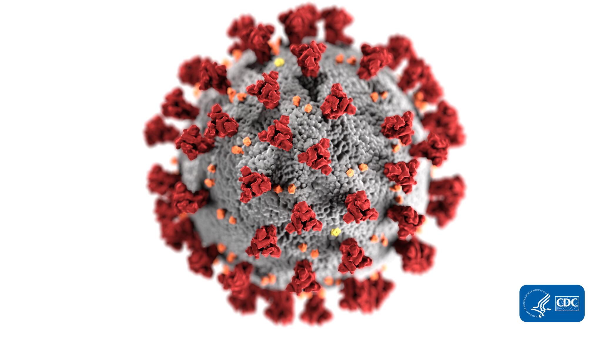 Washington State Department of Health - 1 updates