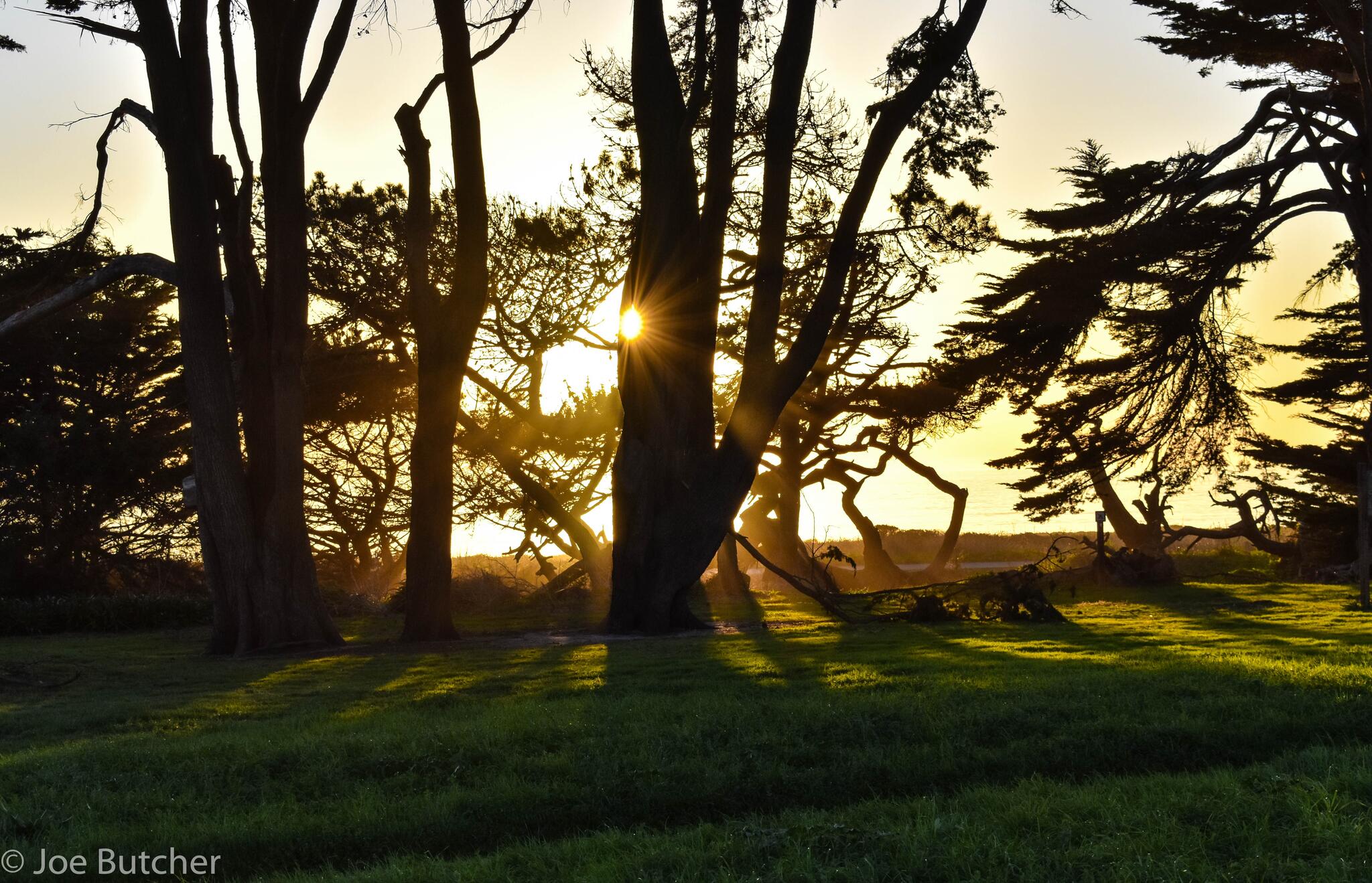 At the City Council Reorganization Ceremony on Tuesday, December 16 ...