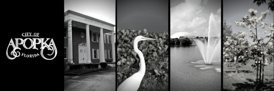The City of Apopka Community Redevelopment Agency (CRA) is looking for ...