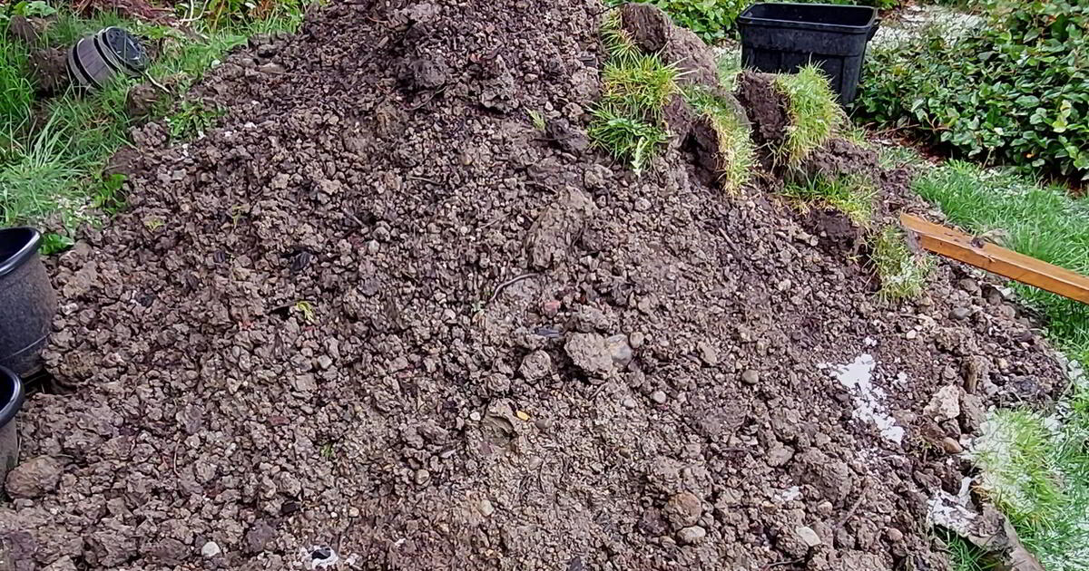 Clean Fill for Free in Port Ludlow, WA | For Sale & Free — Nextdoor