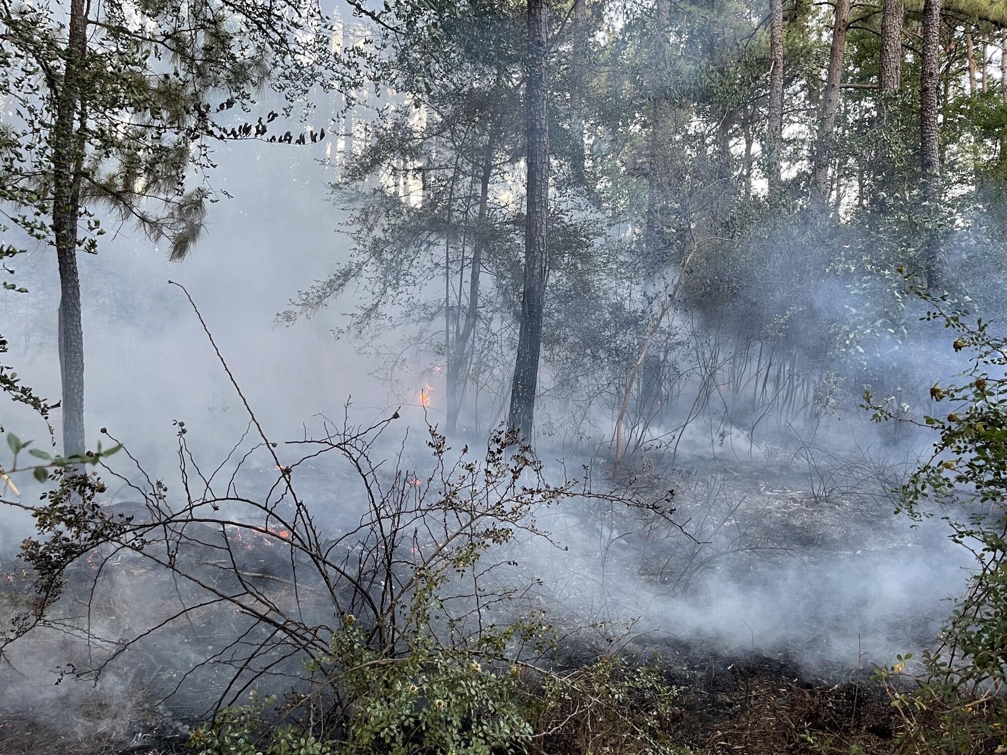 Be careful with any sparks. (Spring Fire Department) — Nextdoor — Nextdoor