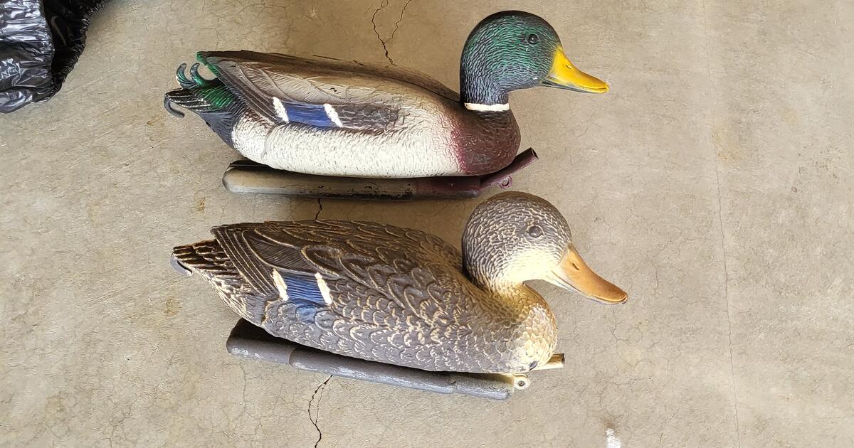 Duck Decoys for $20 in Lake St. Louis, MO | For Sale & Free — Nextdoor