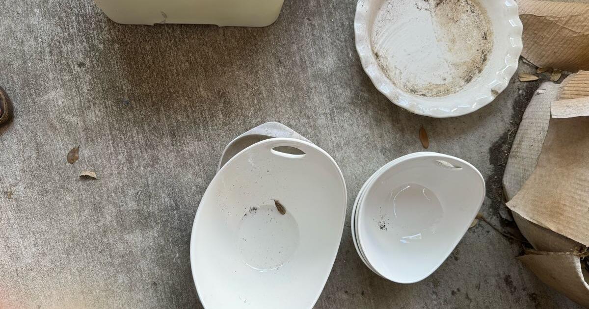 White Serving Bowls and Pie Dish Fish Griller for Free in Houston, TX ...