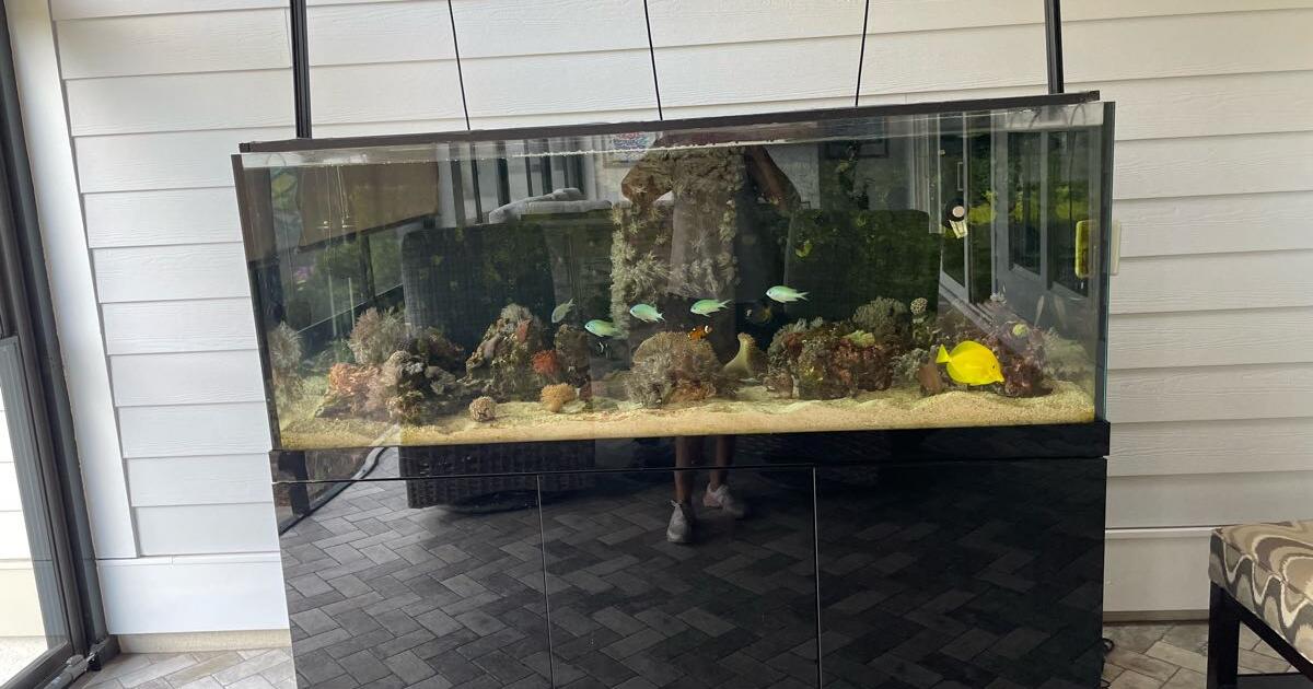 200 gallon tank for $1200 in Bluffton, SC | For Sale & Free — Nextdoor