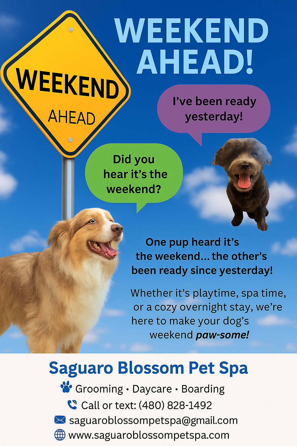 dog spa weekend