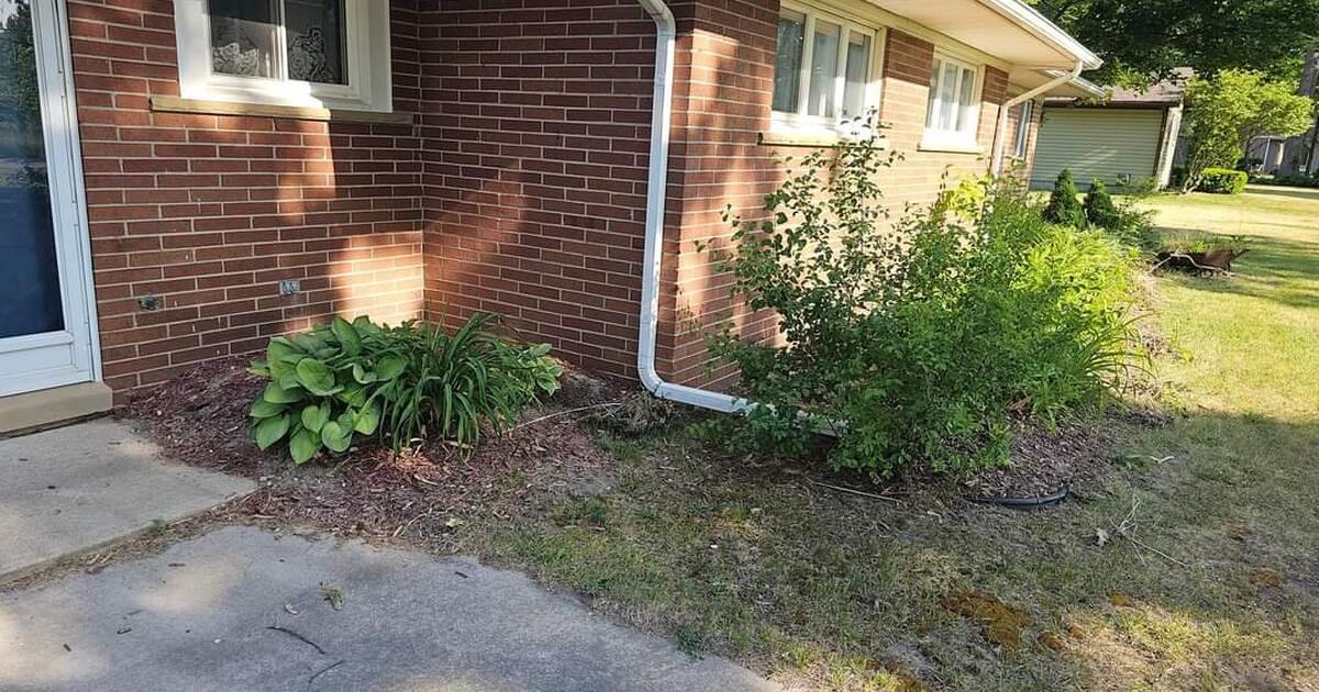 Spring Clean Ups, Yardwork, Spring Poop Clean Ups for Free in Ypsilanti ...