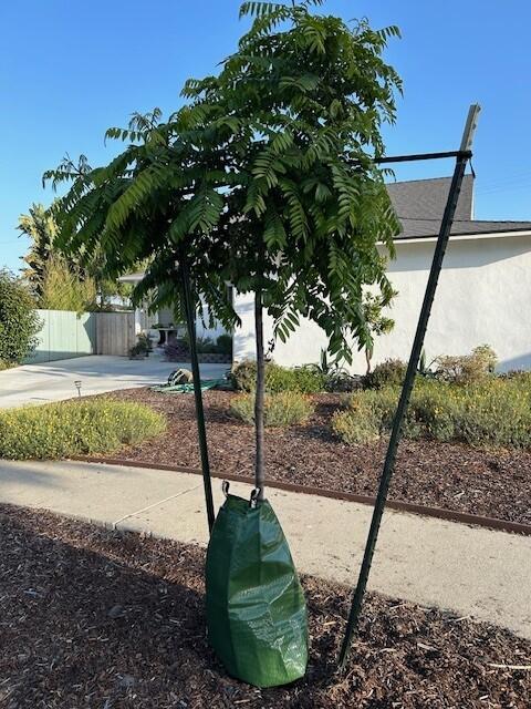 Our Urban Forestry crew planted 40 new trees for our Residential ...