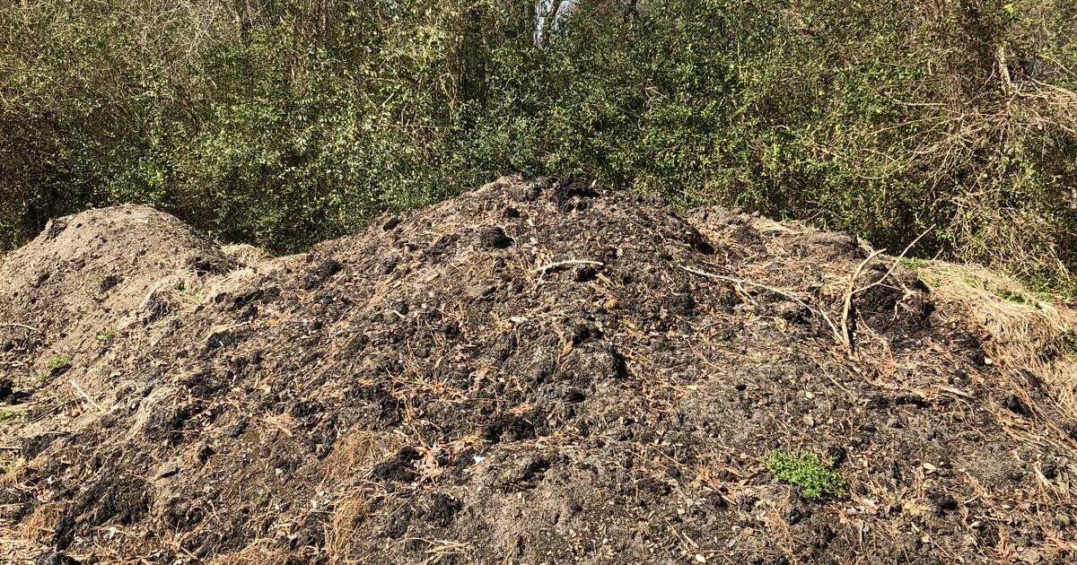 Seasoned Black Angus Fertilizer for $10 in Creedmoor, NC | For Sale ...