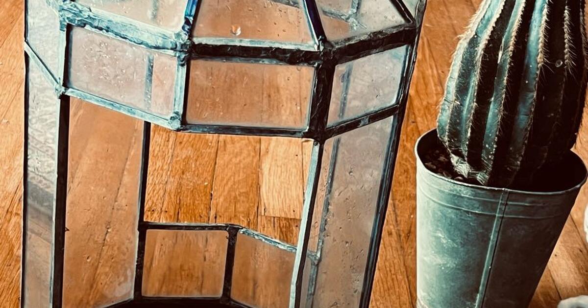 Terrarium for $5 in Berkeley, CA | For Sale & Free — Nextdoor