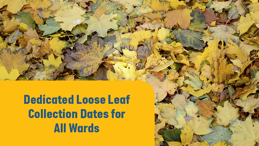 Loose leaf collection throughout the city of Lynchburg continues, and ...