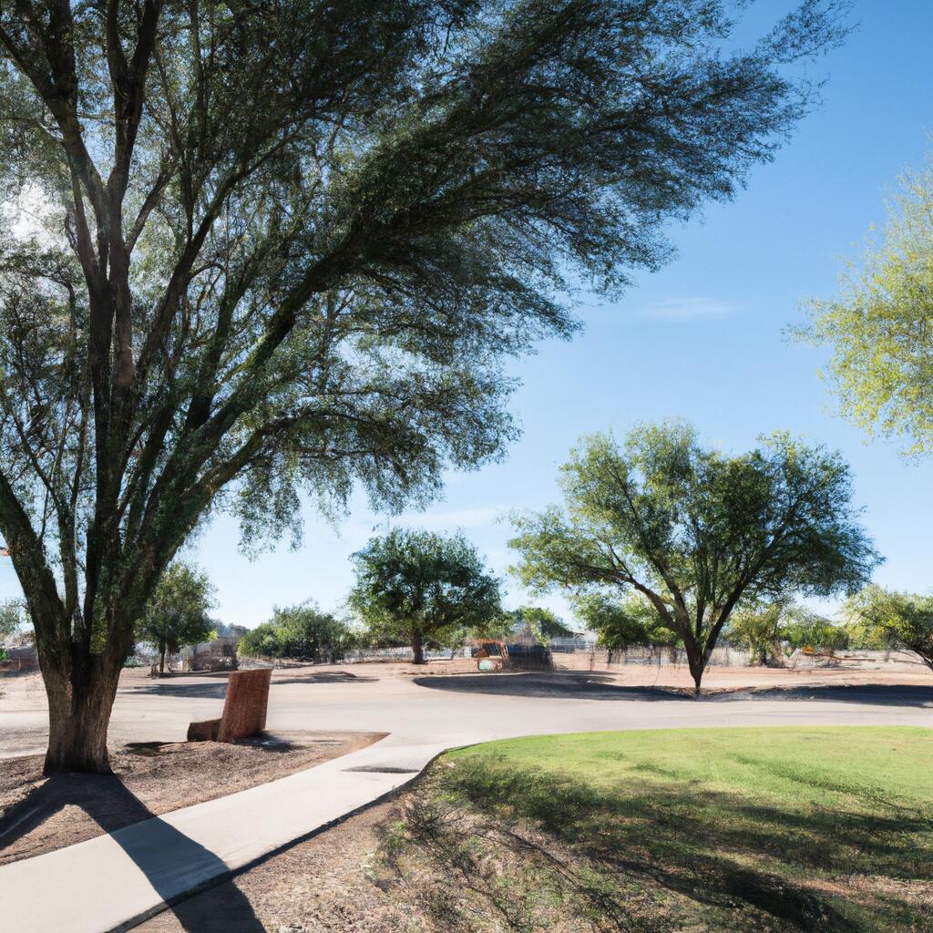 Upland Park, Avondale | Everything You Need to Know