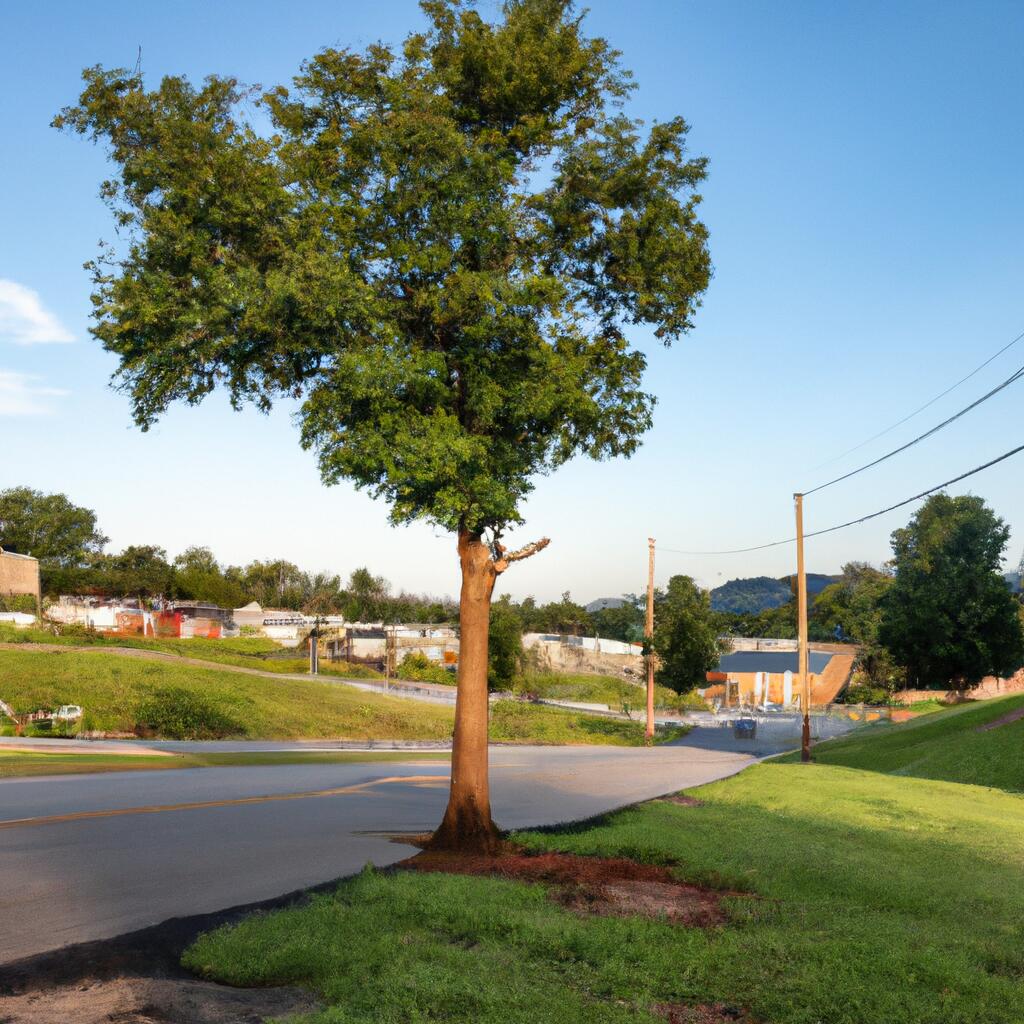 Bent Tree, Jasper | Everything You Need to Know Nextdoor
