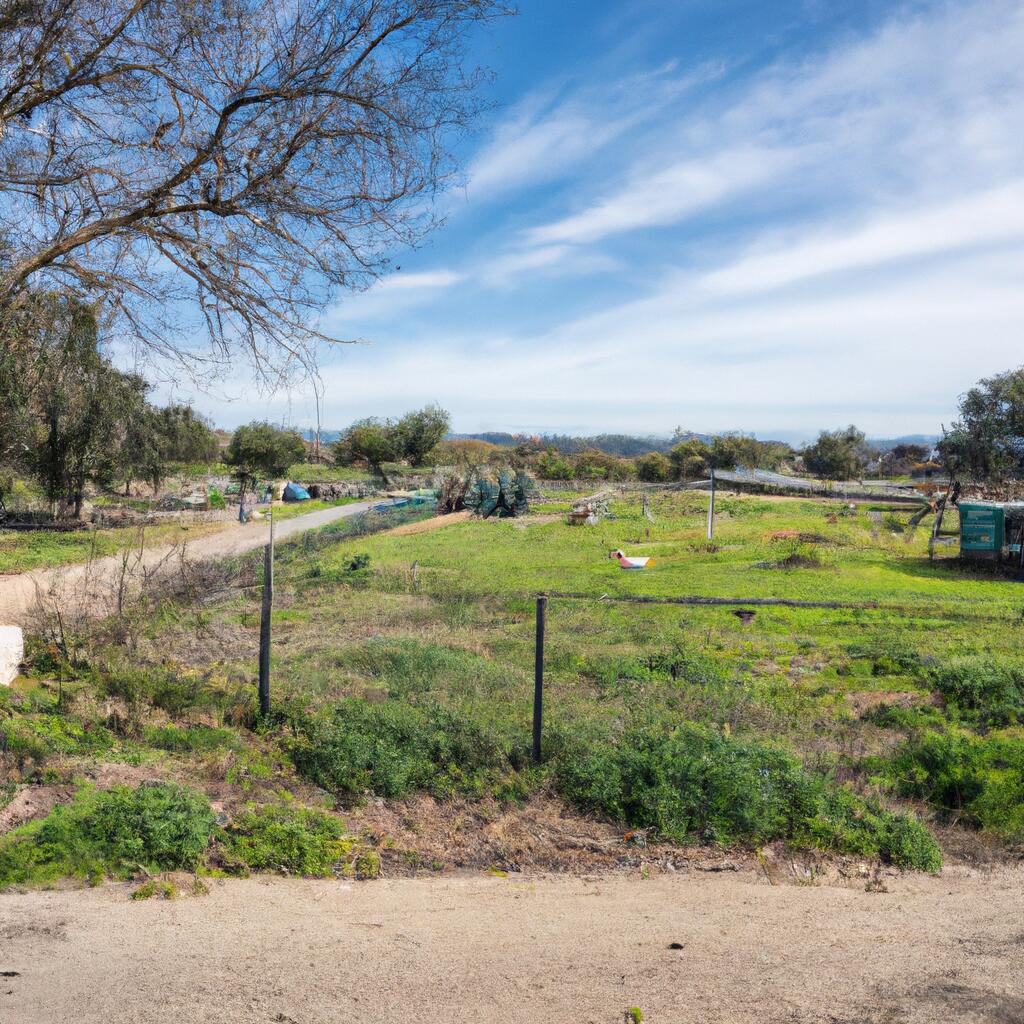 Fiddyment Farm, Roseville | Everything You Need to Know