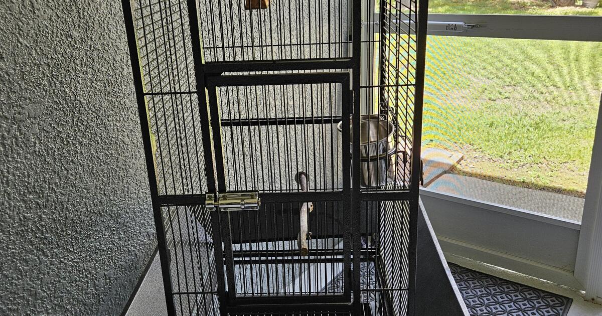 Large Bird Cage for $45 in Tampa, FL | For Sale & Free — Nextdoor