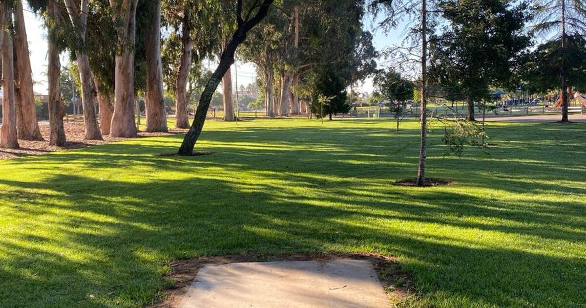 FOUND 11/19 at Preisker Park in Santa Maria, CA | For Sale & Free ...