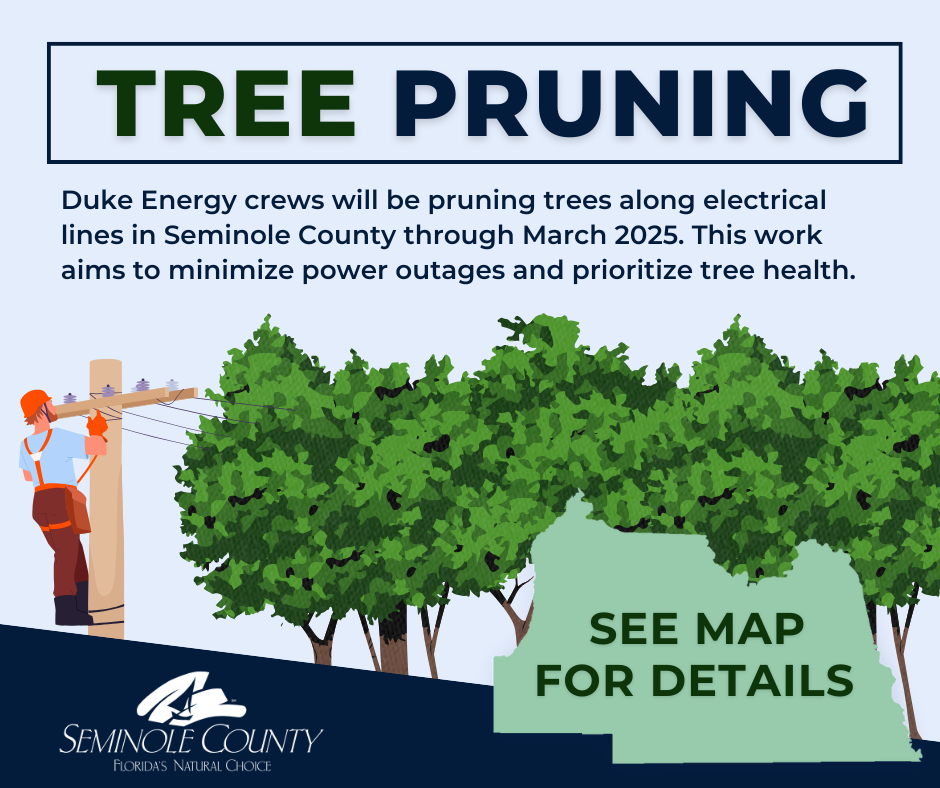 DUKE ENERGY TREE PRUNING: Duke Energy crews will be pruning trees along ...