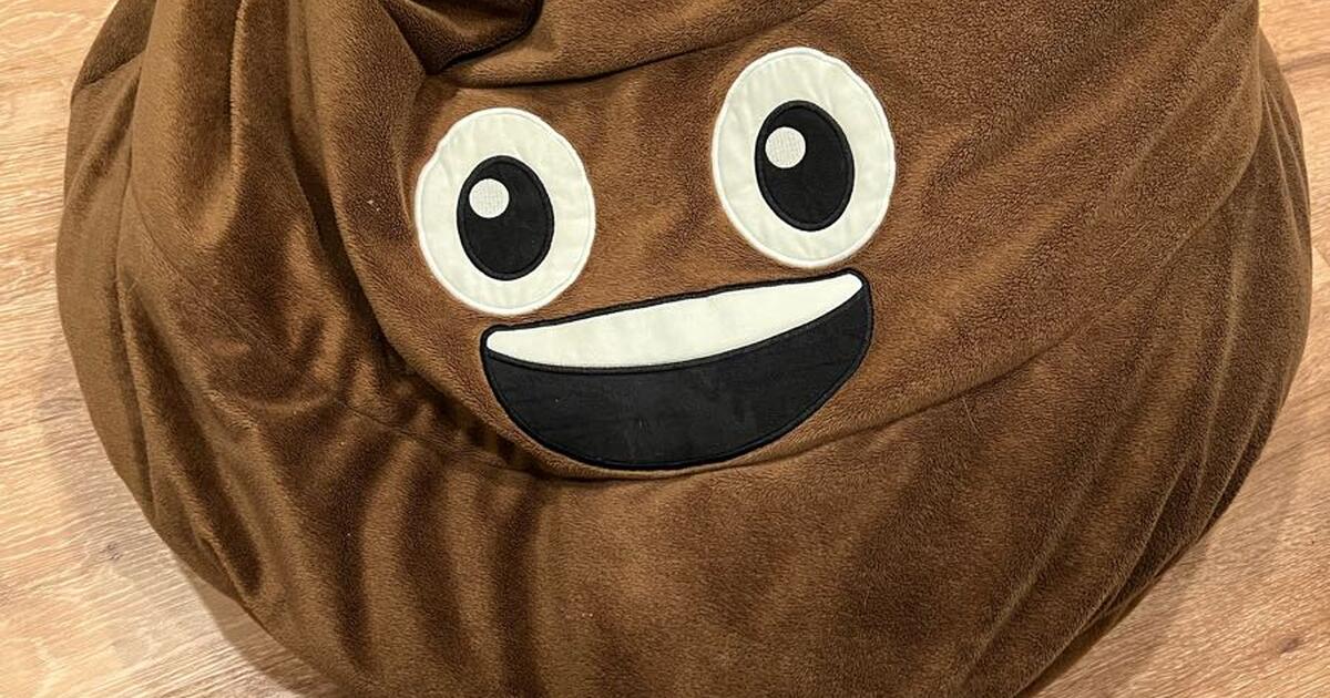 Pending Pick up - Poop Emoji Bean Bag Chair/Pillow for Free in Wilmette ...