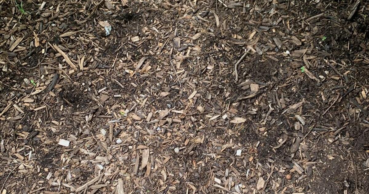 Compost/Mulch from STL Composting for Free in St. Louis, MO | For Sale ...