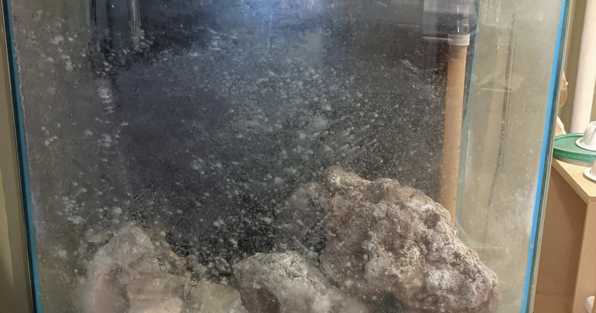 25 Gallon Fish Tank with Stand for Free in St. Louis Park, MN | For ...