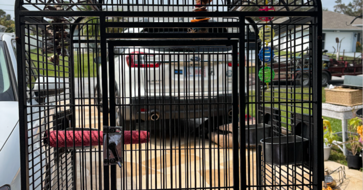 Large Bird Cage for $100 in Port Charlotte, FL | For Sale & Free — Nextdoor