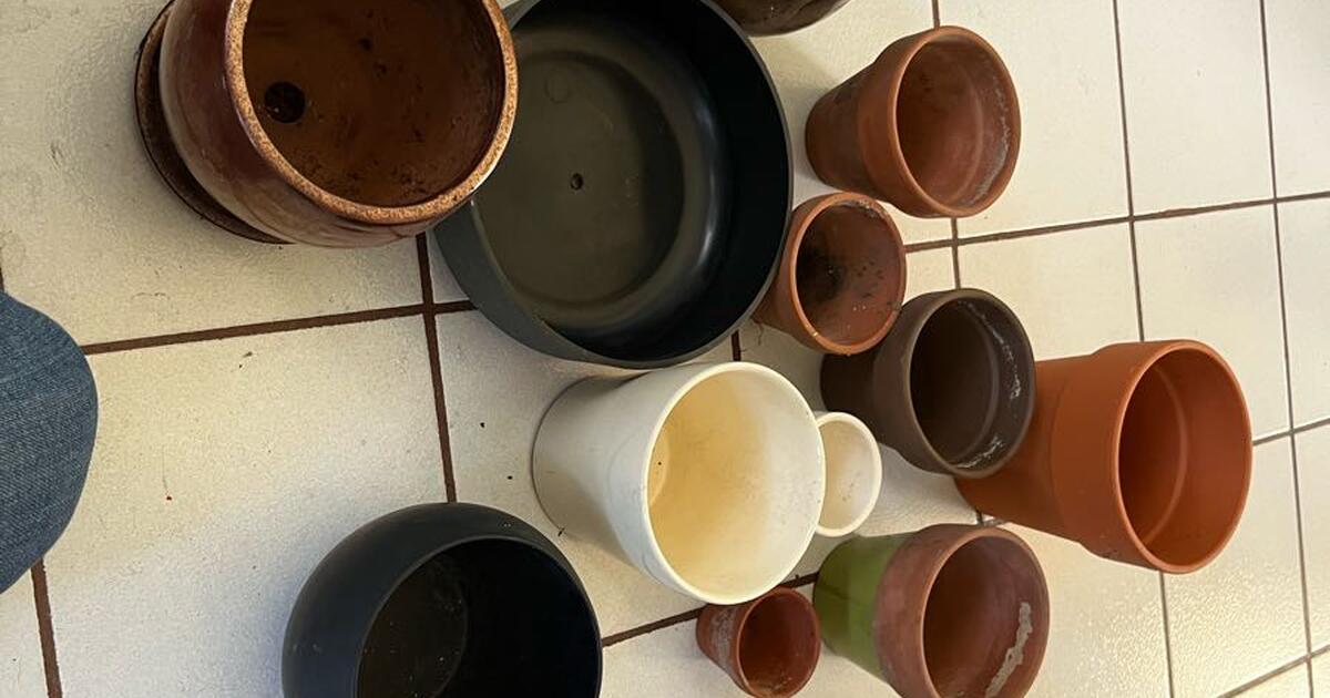 Assorted Plant Pots for Free in San Diego, CA | For Sale & Free — Nextdoor