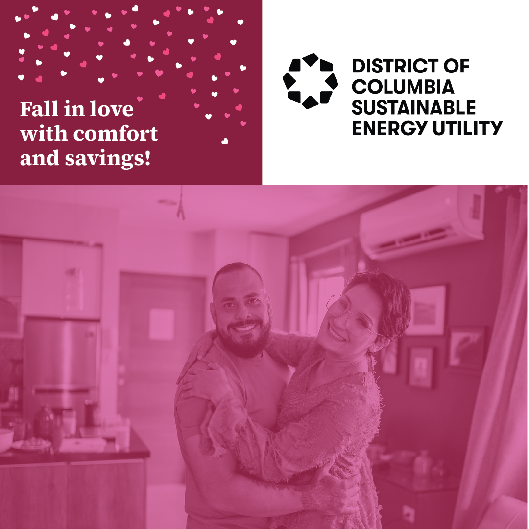 This Valentine’s Day, show your home (and yourself! (DC Sustainable ...