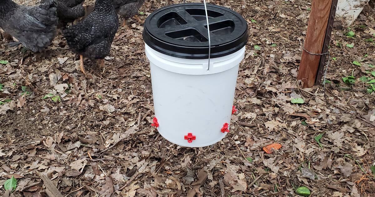 5 gallon Chicken Waterer for $35 in Arvada, CO | For Sale & Free — Nextdoor