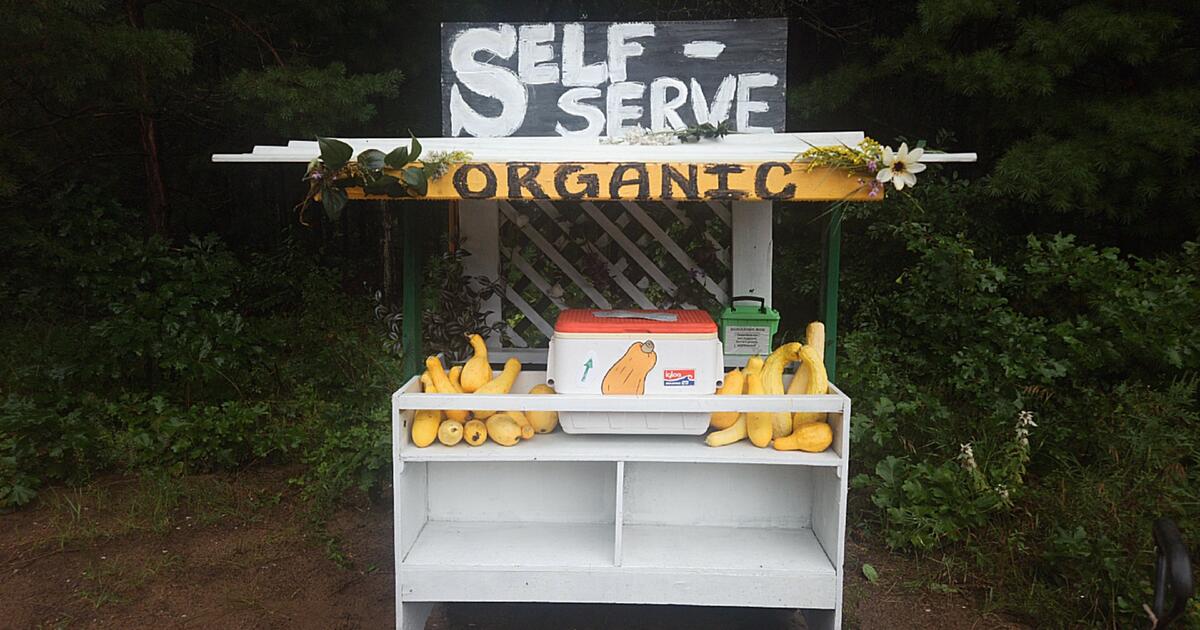 Self-Serve Organic Produce Stand for Free in Newaygo, MI | For Sale ...