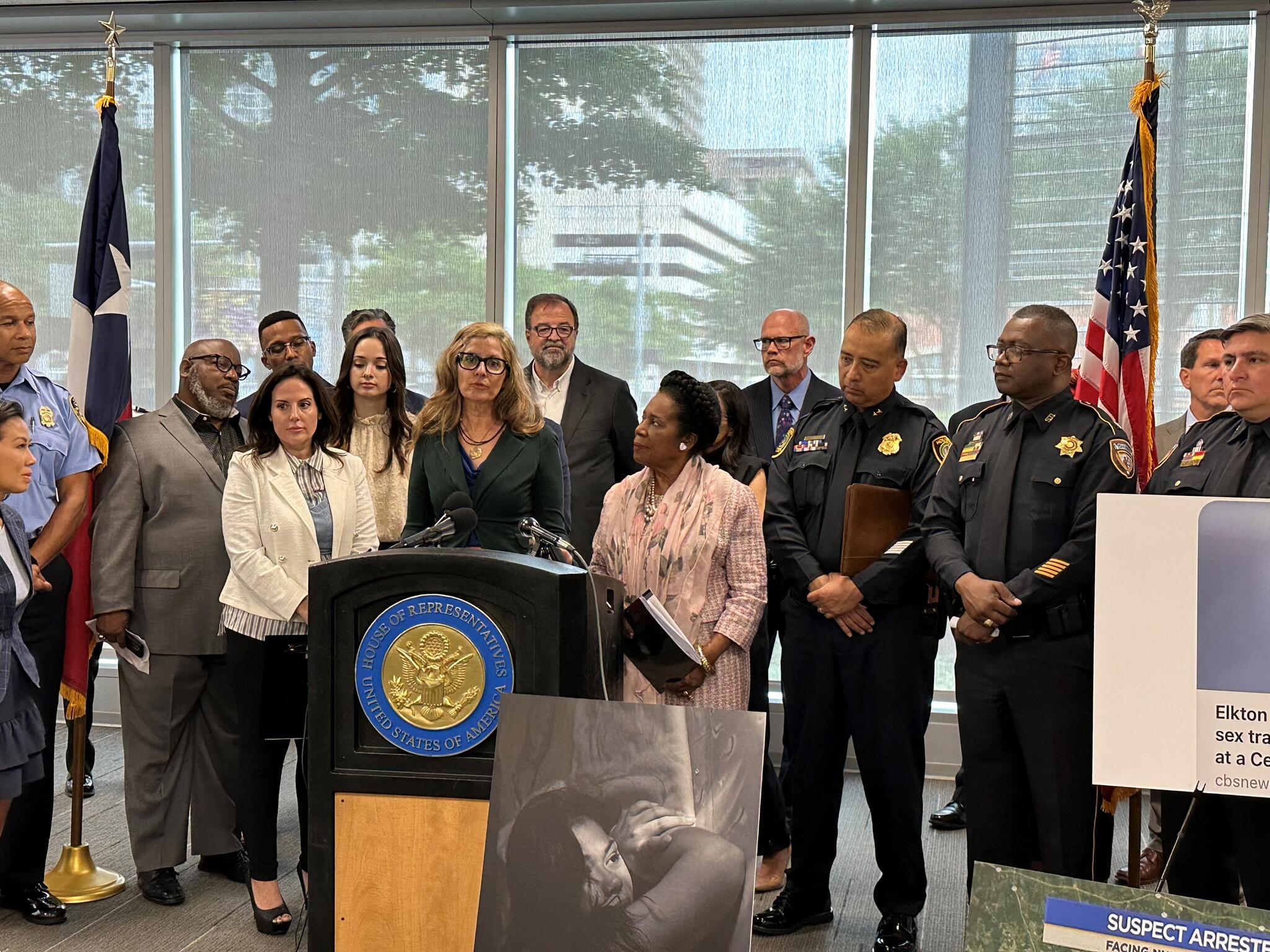 Harris County District Attorney's Office, Division Chief Johna ...