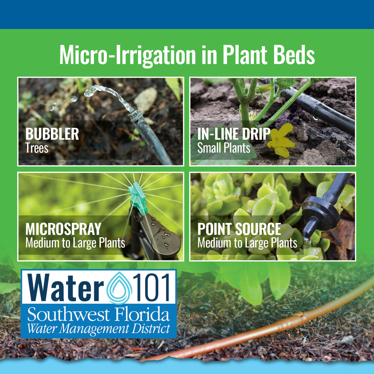Discover the different types of micro-irrigation available for plant ...
