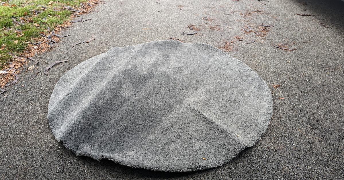 Two Free Rugs! for Free in Glenview, IL | For Sale & Free — Nextdoor