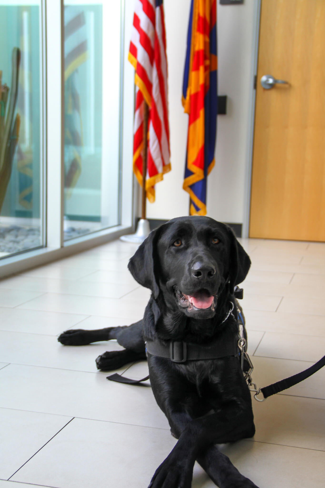 Happy 4th of July from the Surprise Police Department (Surprise Police ...