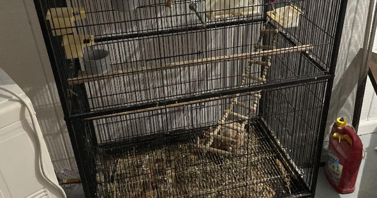Bird cage for $80 in Port St. Lucie, FL | For Sale & Free — Nextdoor