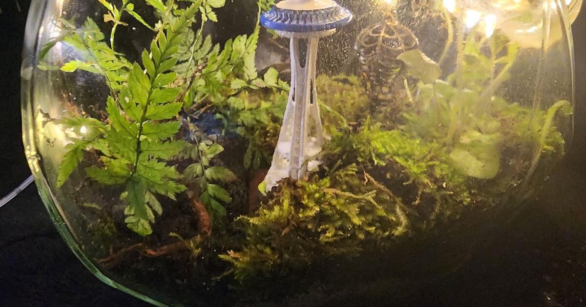 Space needle tabletop lit terrarium. for $40 in Seattle, WA | Finds ...