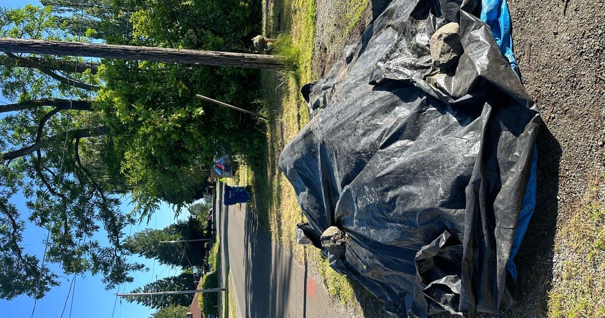 Free: Moo Doo from Burien Bark for Free in Seattle, WA | For Sale ...