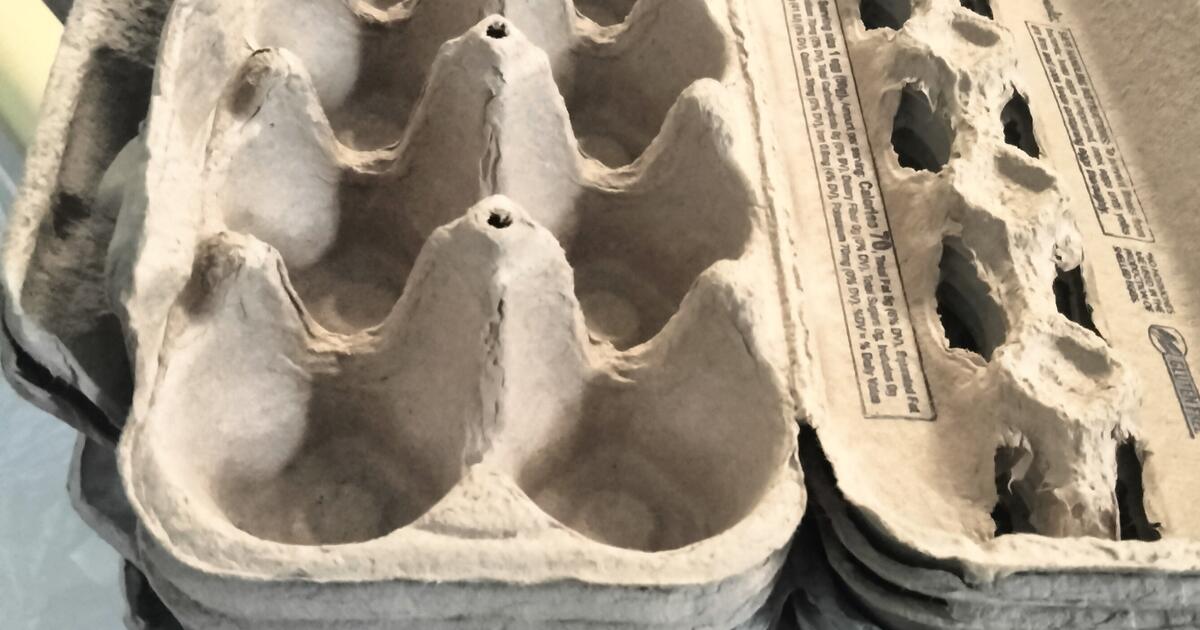 10 Free Egg Cartons for Free in Greensboro, NC | For Sale & Free — Nextdoor