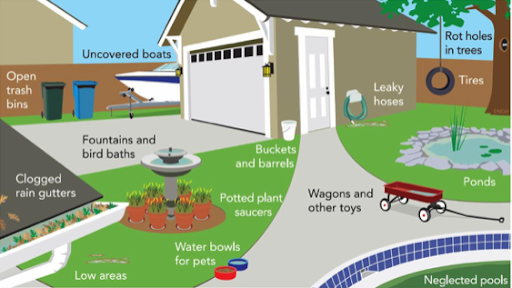 Did you know that mosquitoes can breed anywhere there is standing water ...