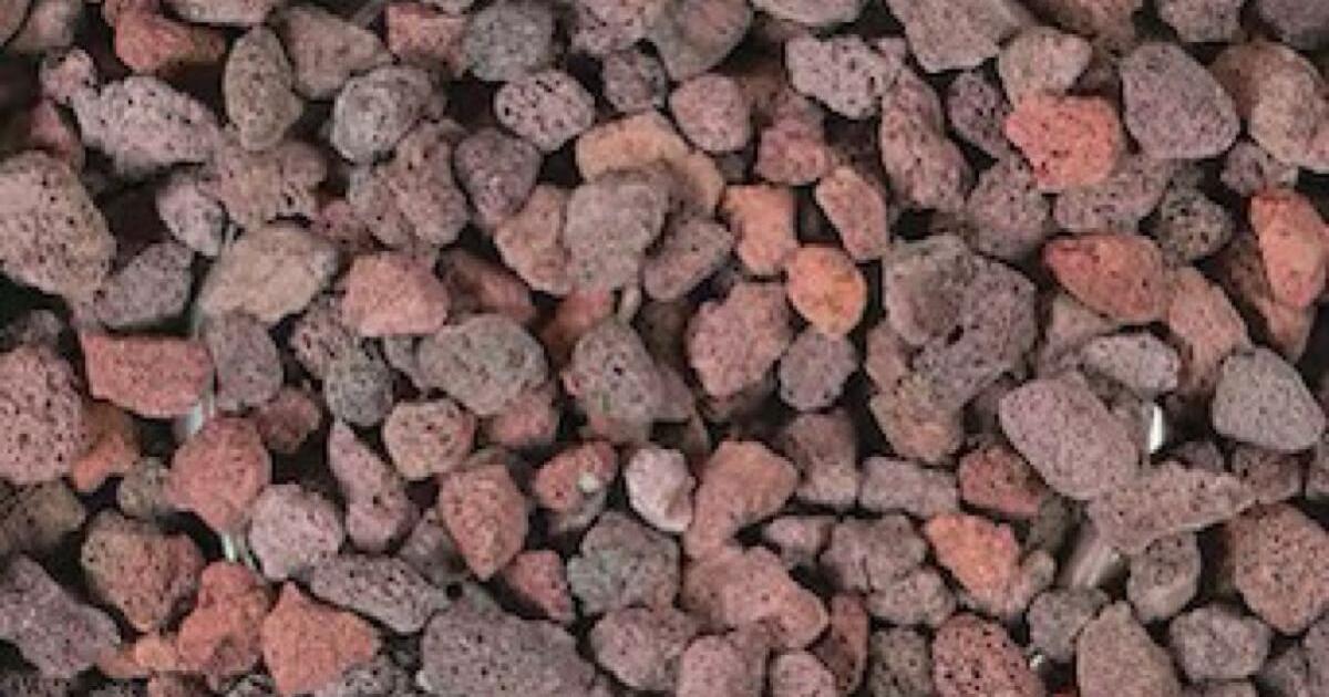 Stone Red Lava Landscape Rocks & One Grey Stone Lava Landscape Rock for ...