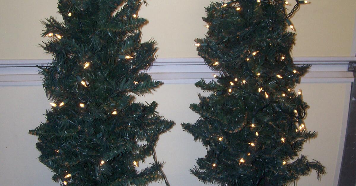 Set of 2 Pre-lit Artificial Topiary Trees for $25 in Meridian, ID | For ...