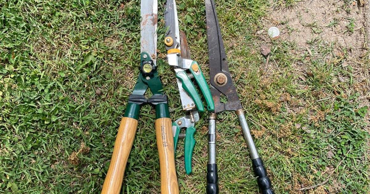 Free garden shears for Free in Greensboro, NC | For Sale & Free — Nextdoor