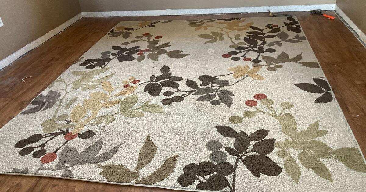 Mohawk 8x10 area rug for $60 in Kissimmee, FL | For Sale & Free — Nextdoor