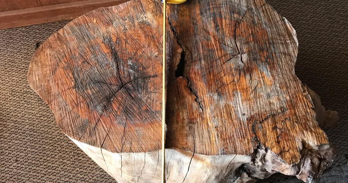 Massive live edge tree stump -smooth & debarked for $50 in Sugar Land ...