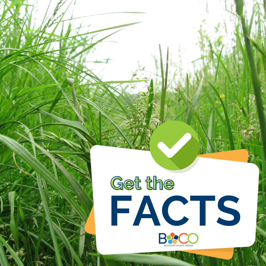 The current weeds and grass ordinance was first enacted in 1987 ...