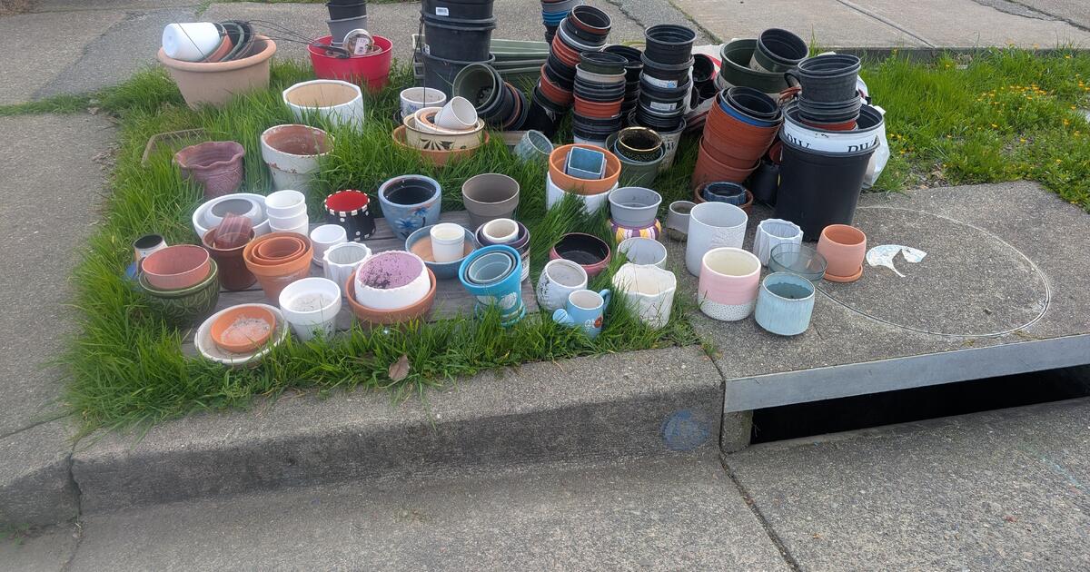 Assorted Plant Pots for Free in Santa Rosa, CA | For Sale & Free — Nextdoor