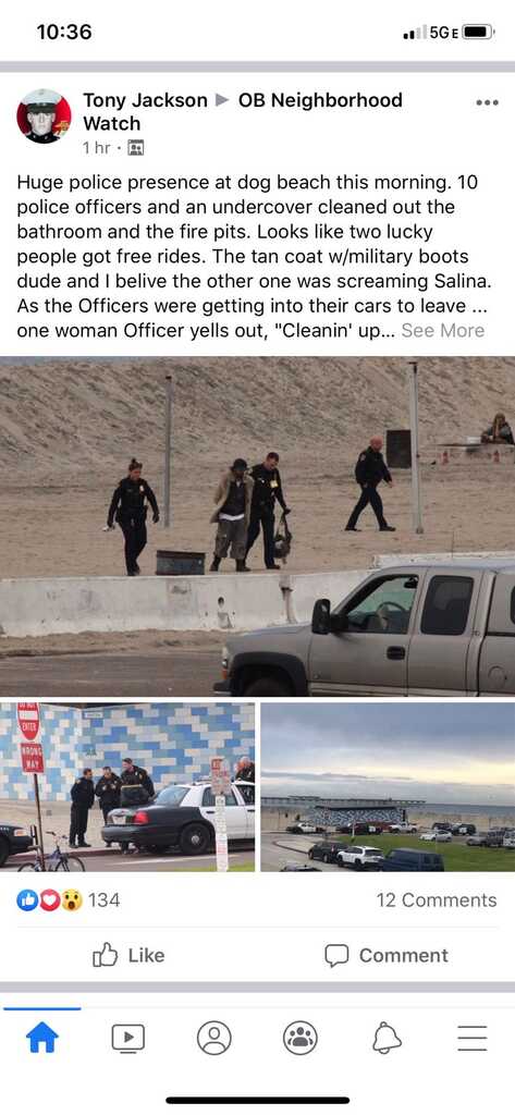 Ocean Beach Patrol Activity