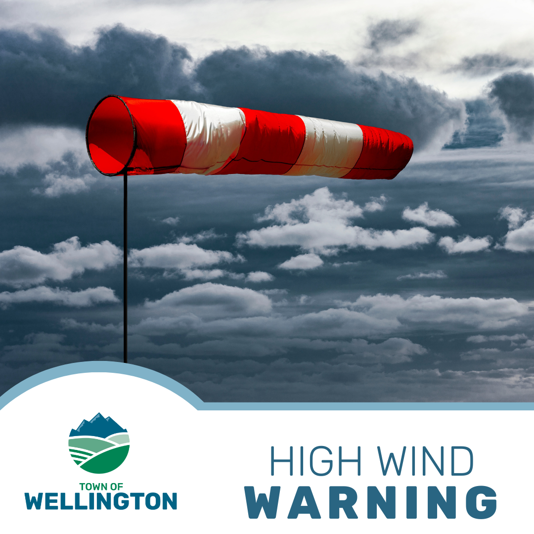 💨💨💨 High Wind Warning 💨💨💨 (Town of Wellington) — Nextdoor — Nextdoor
