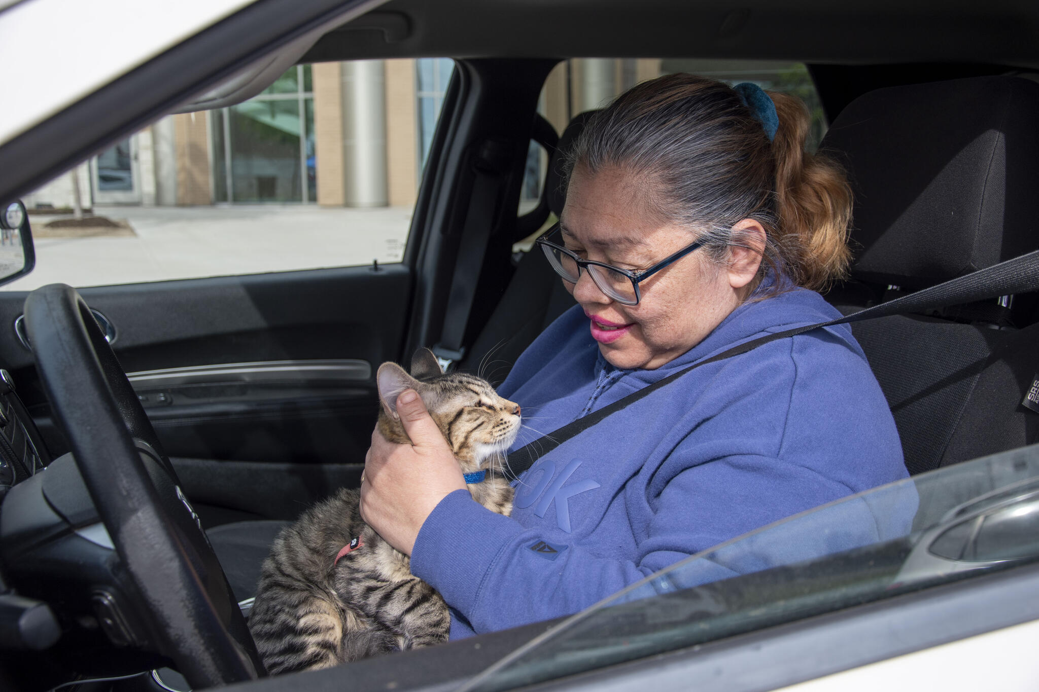 omething you might not know about the animal welfare organizations in ...