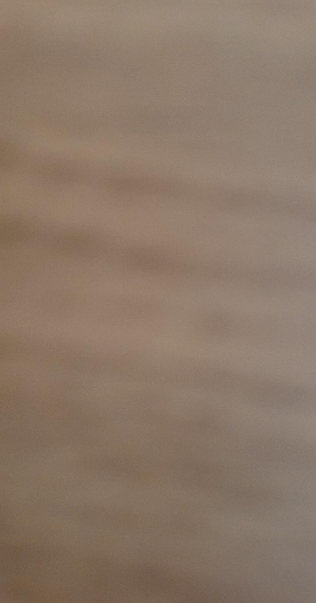 Dalmarnock, Glasgow | Everything You Need to Know