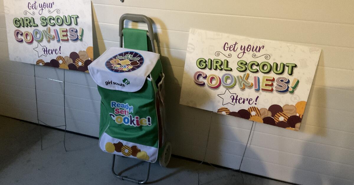Girl Scout Cookie Cart/Bag plus 2 Girl Scout signs for $25 in Fort ...